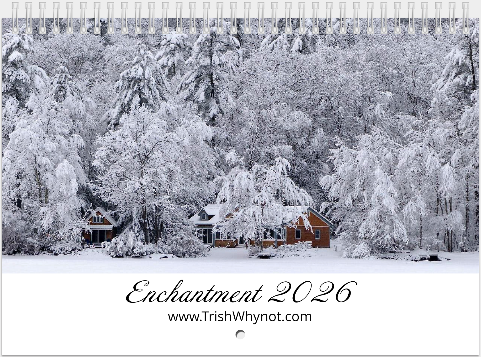 Vote For Your Favorite Photo | Trish Whynot, D.C.Ed.